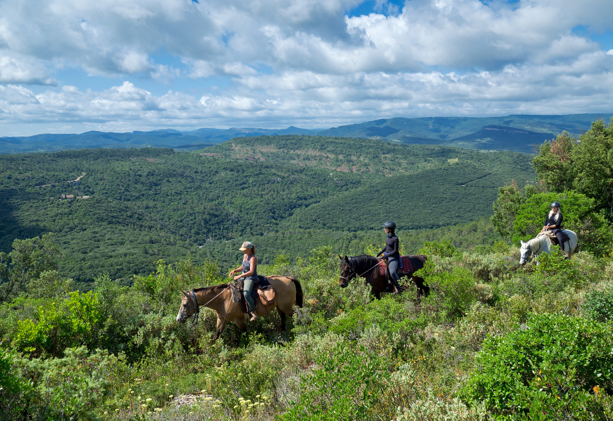 Alain COSTE « Dans l’Aude, tout est là et naturellement là » – Miss ...
