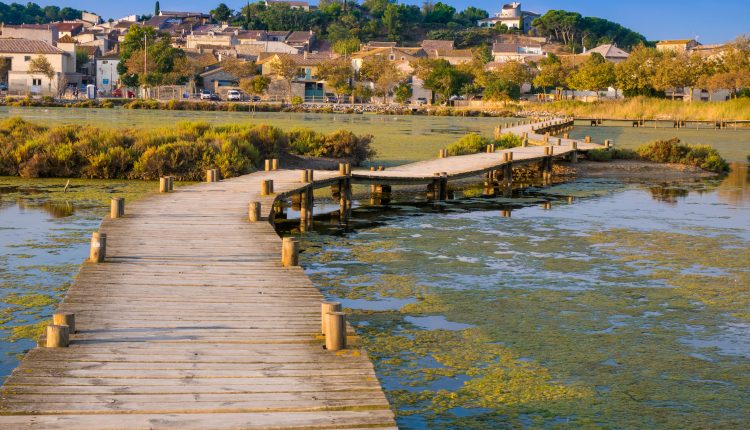 Alain COSTE « Dans l’Aude, tout est là et naturellement là » – Miss ...