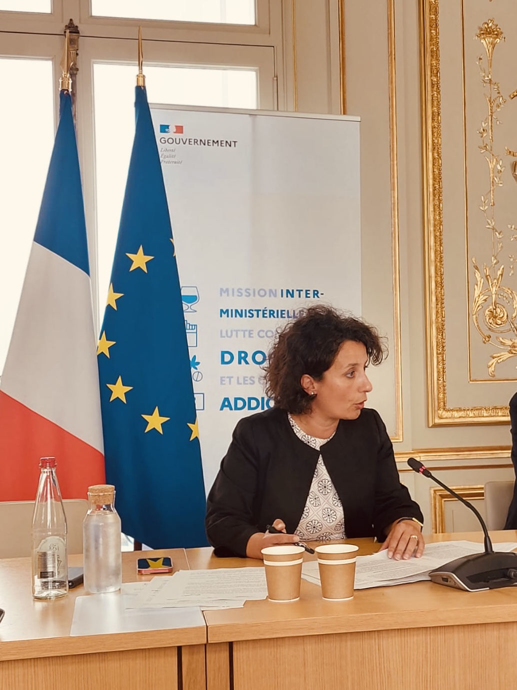 Interview de Laura d’ARRIGO, conseillère diplomatique de la MILDECA ...